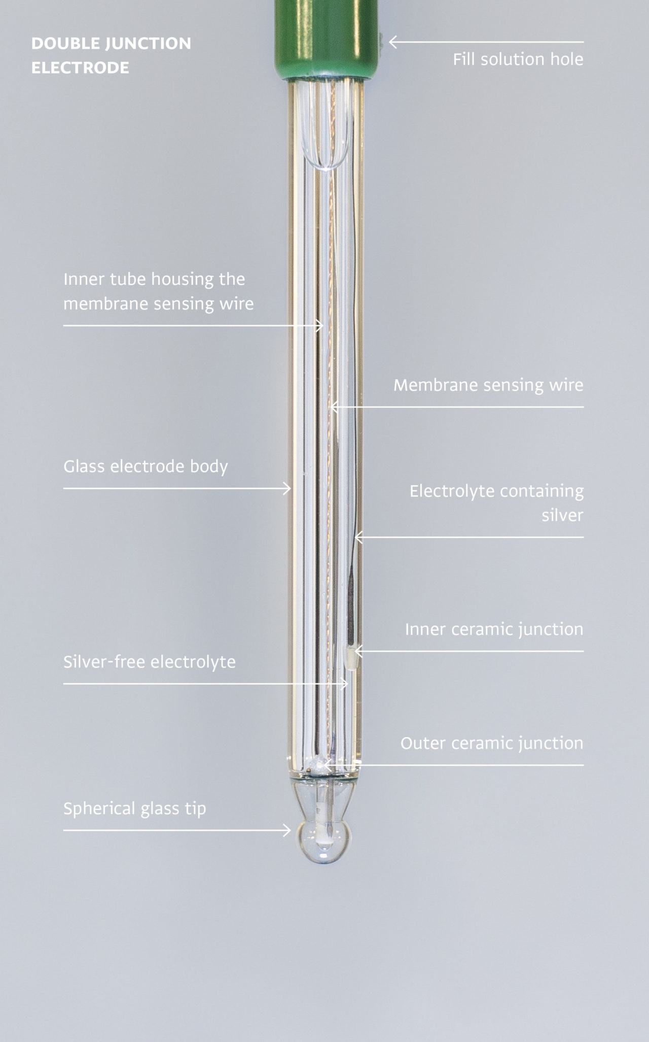 A Comprehensive Guide to Testing pH of Food and Drink