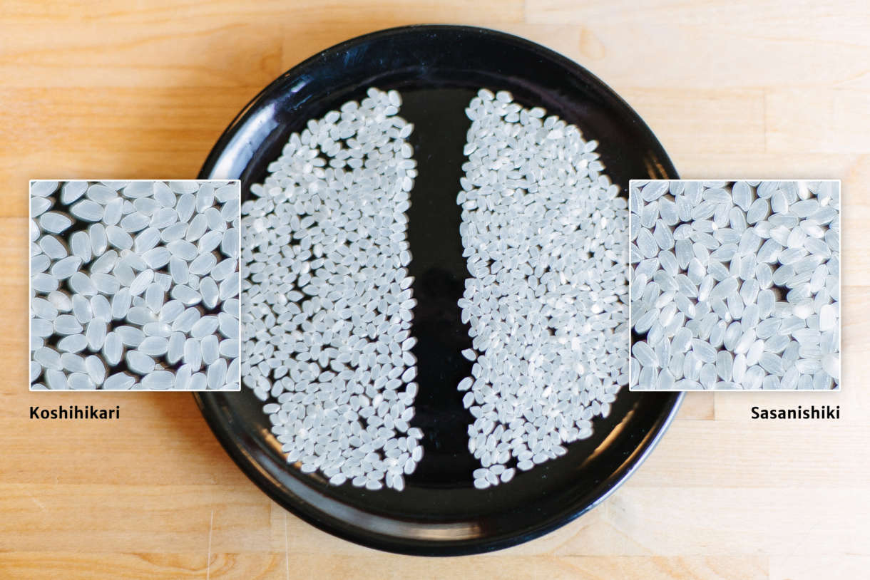 Making Sushi Rice with Ryan Roadhouse — Our Daily Brine