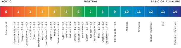 A Comprehensive Guide to Testing pH of Food and Drink